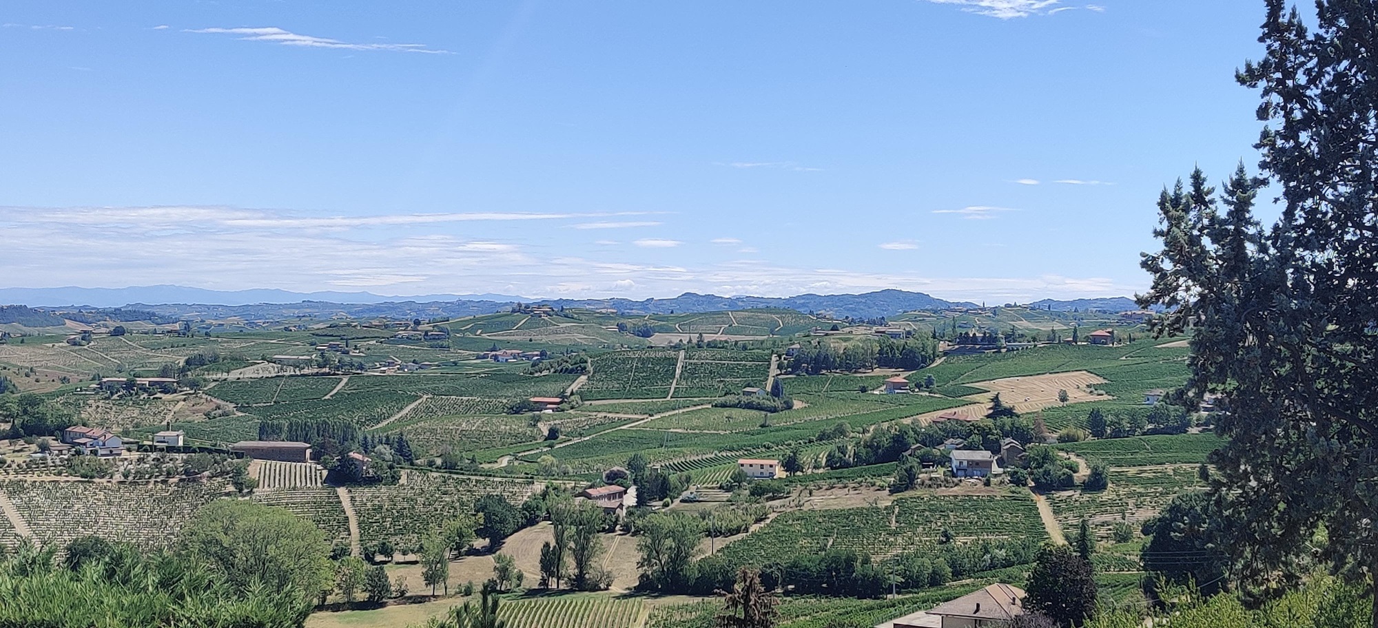 Cascina Luisa, Calosso – Vacation Rentals in Piemonte, Italy