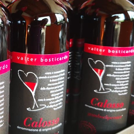 Calosso Wineries – Cascina Luisa, Calosso